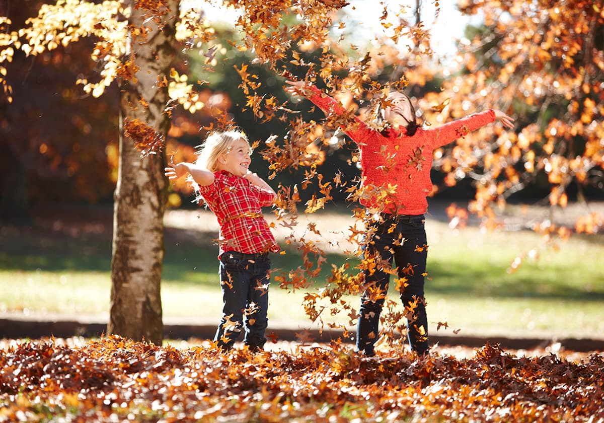 About Canberra | Canberra