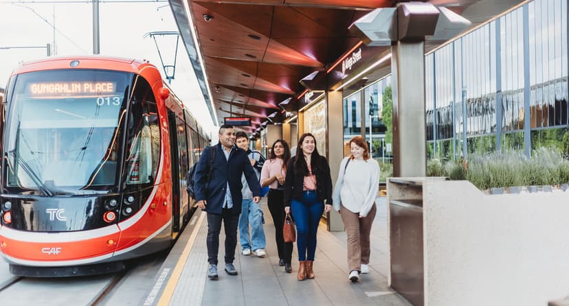 Getting around Canberra: Public transport and travel options