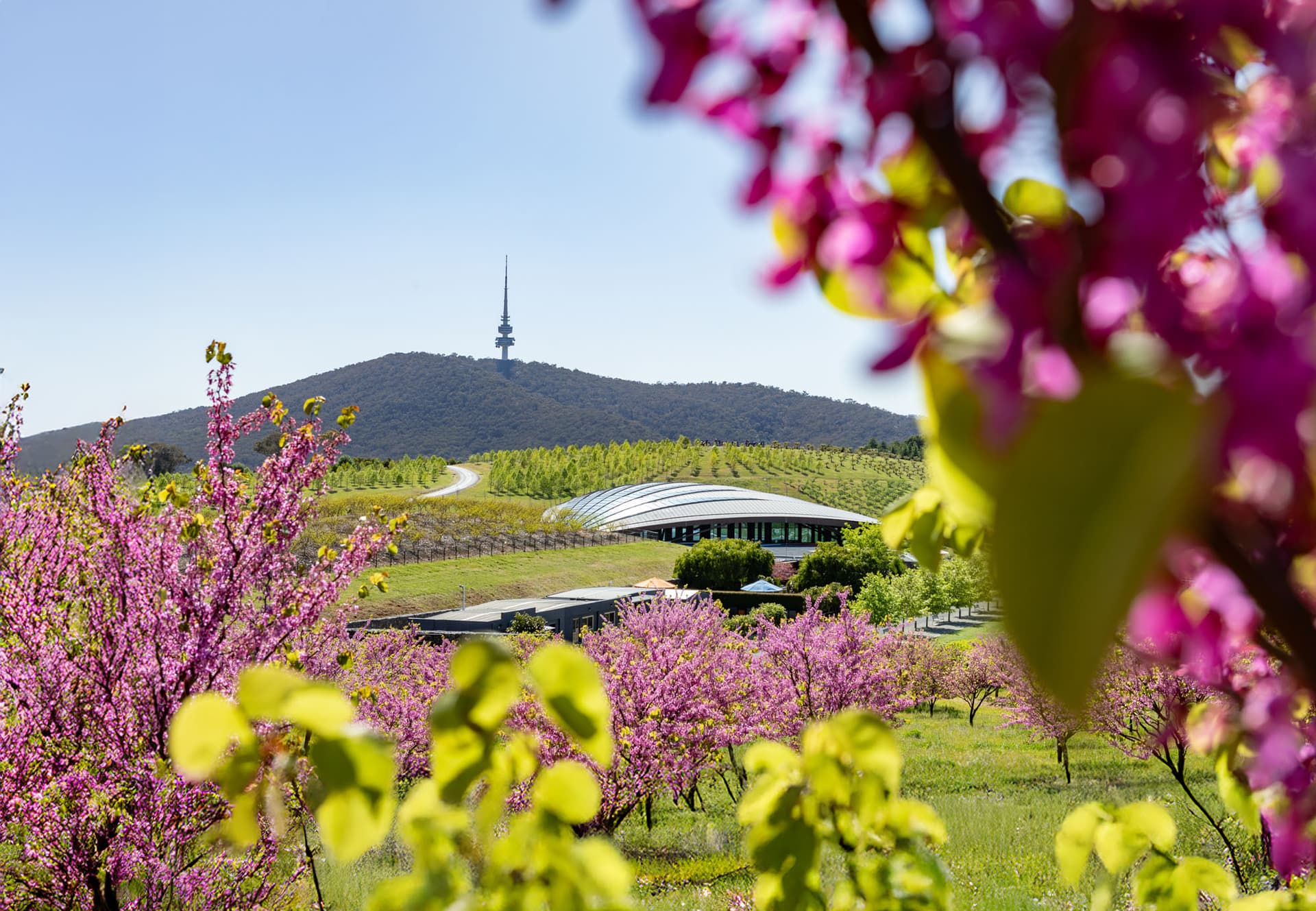 Canberra - a city that's all about balance